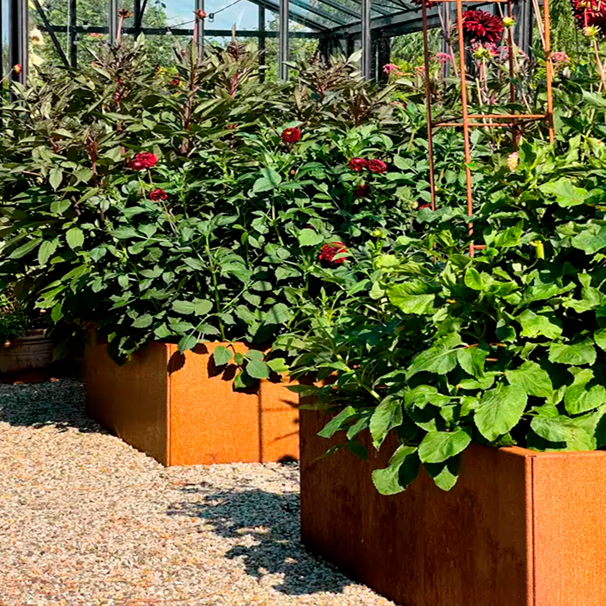Odlingslådor Land Mordern i corten är extra starka och har fina ...